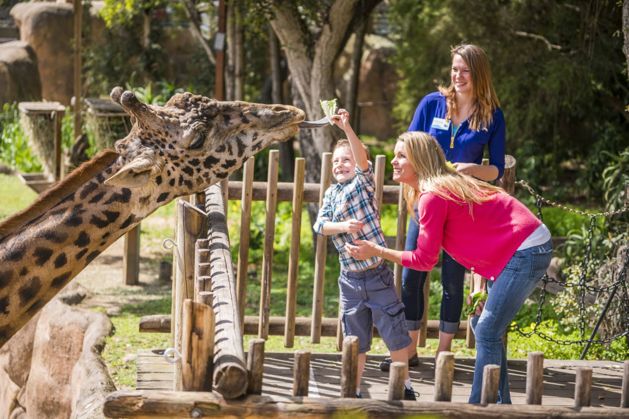 A Day at the Santa Barbara Zoo | Fun & Educational for All AgesThe ...