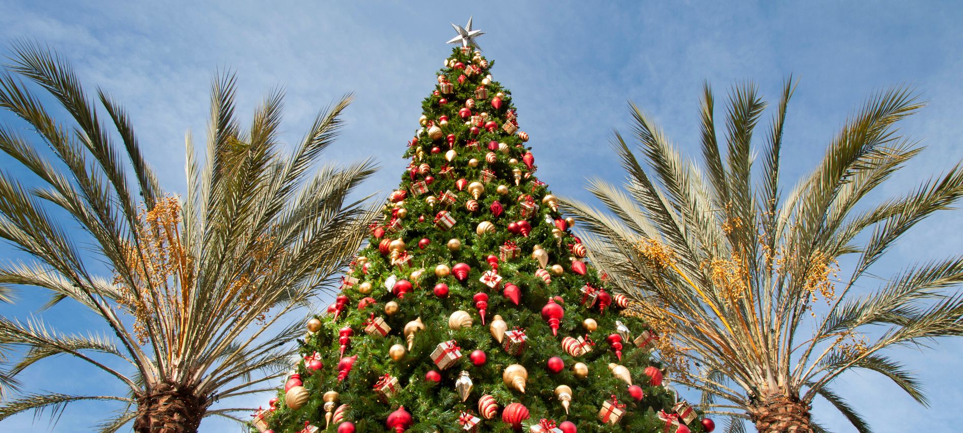 Holiday Events Near Santa Barbara CA holiday-events-near-santa-barbara-ca